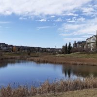 Building a Deck to Code in Calgary, Alberta | Maritime West Construction